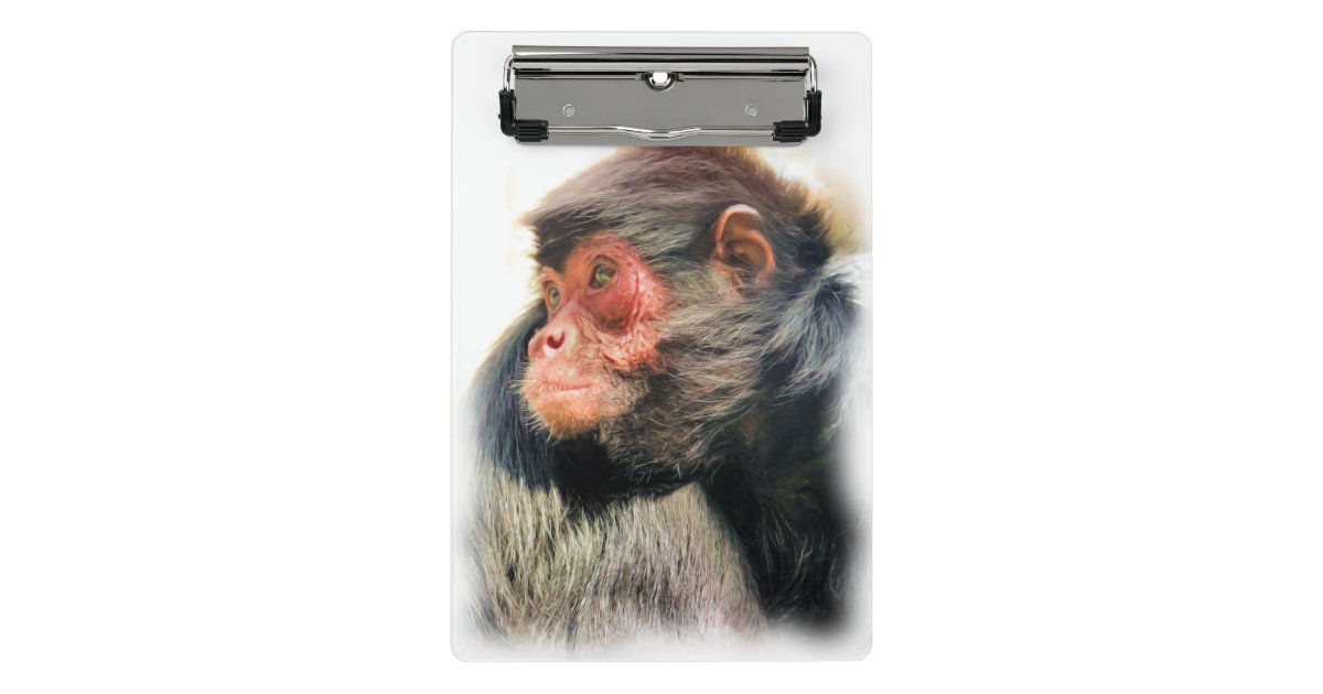SPIDER MONKEY MINI CLIPBOARD | Zazzle