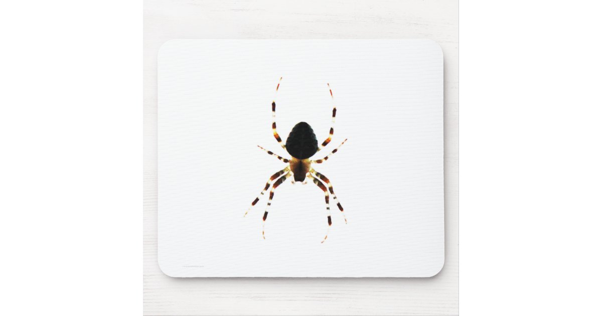 Spider mpcna mouse pad | Zazzle