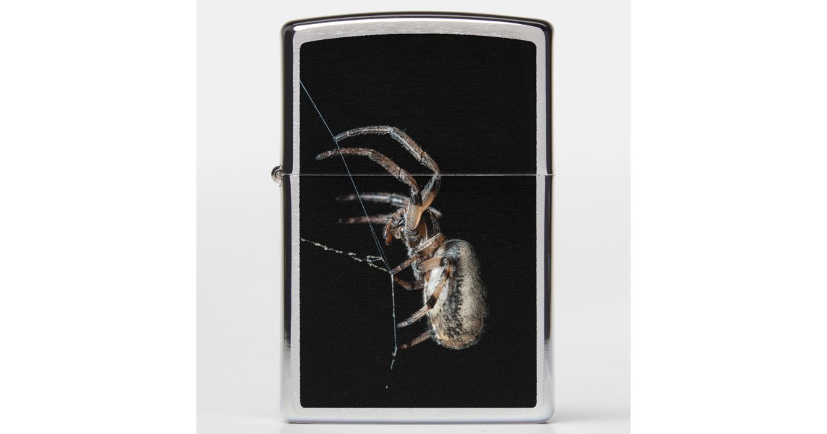 Spider On Web Zippo Lighter | Zazzle