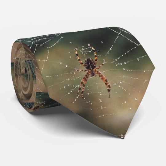 SPIDER TIE | Zazzle.com