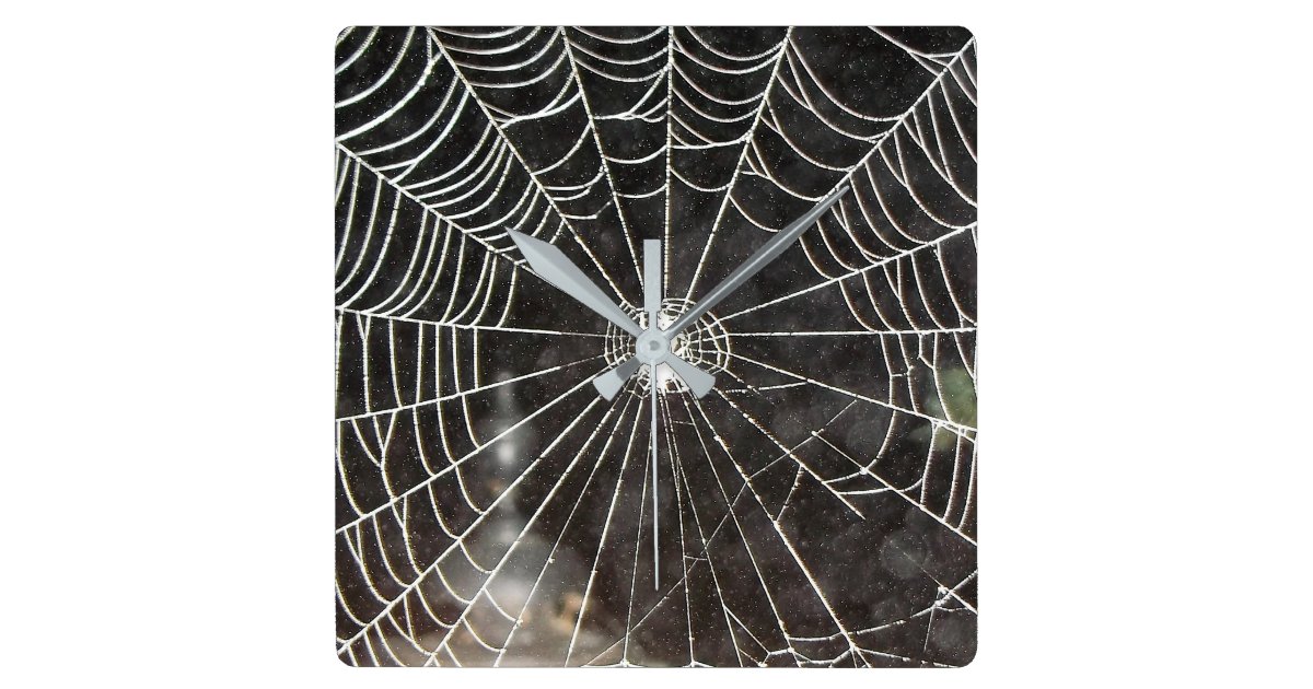 Spider Web Clock Arachnology | Zazzle