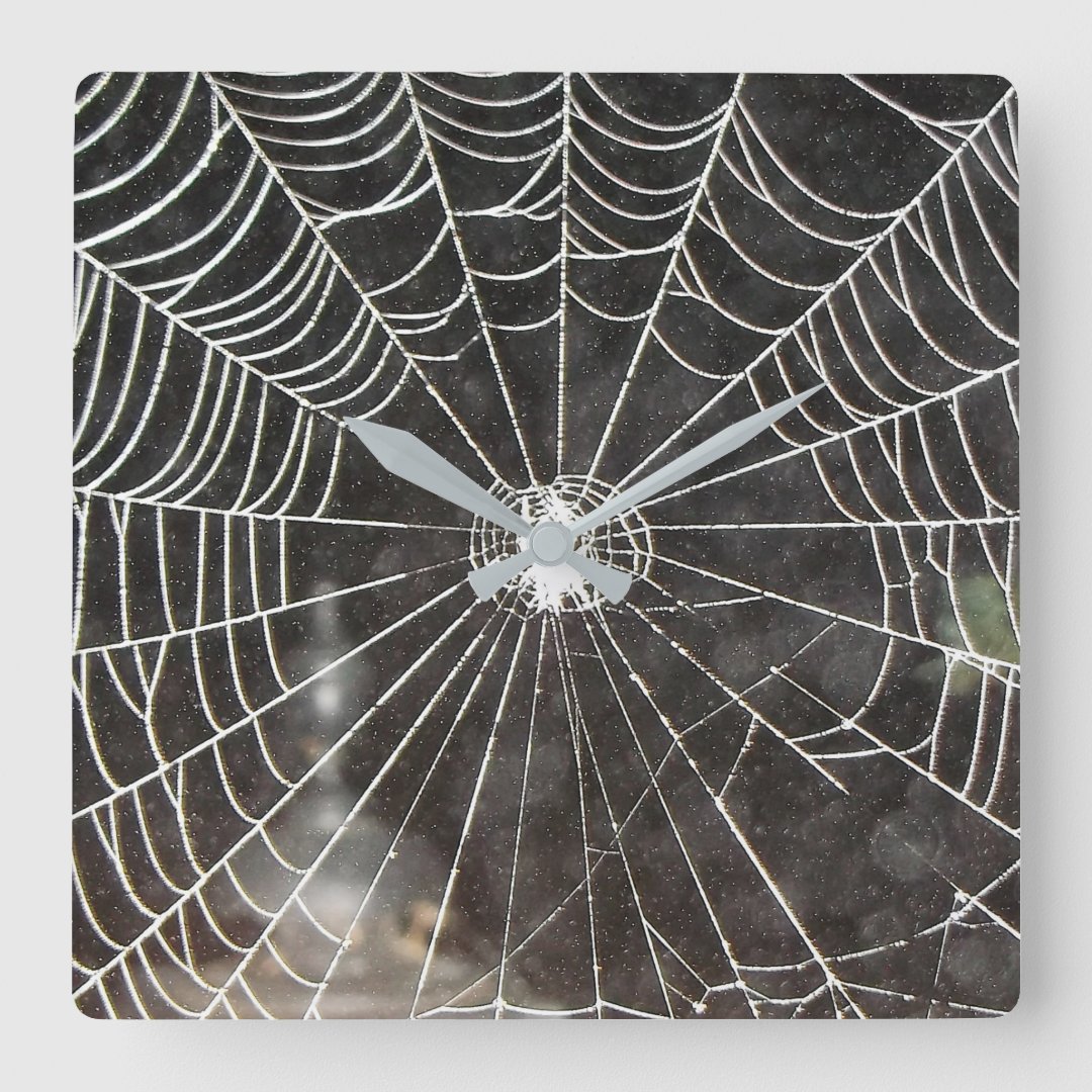 Spider Web Clock Arachnology | Zazzle