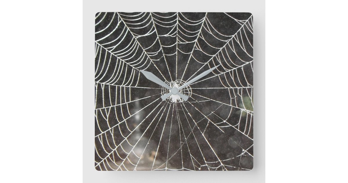 Spider Web Clock Arachnology | Zazzle