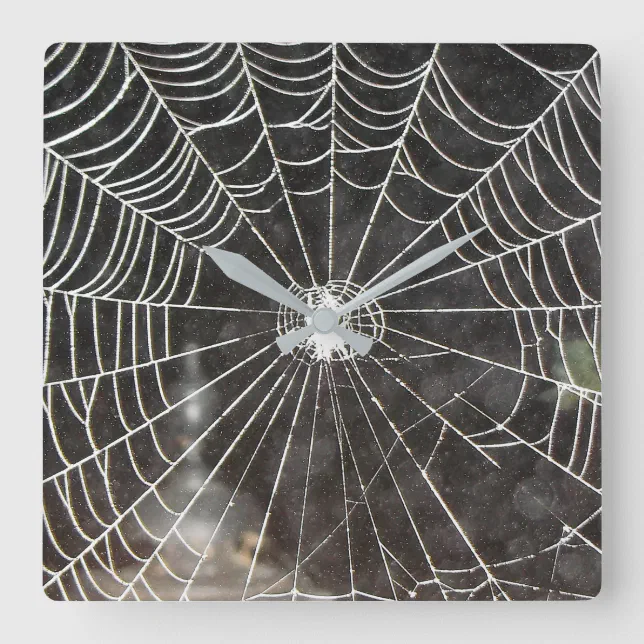Spider Web Clock Arachnology | Zazzle