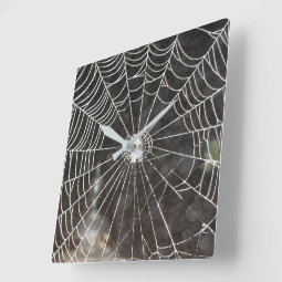 Spider Web Clock Arachnology | Zazzle