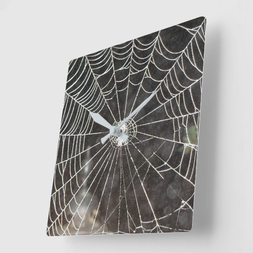 Spider Web Clock Arachnology | Zazzle