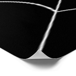 Spider Web Poster | Zazzle