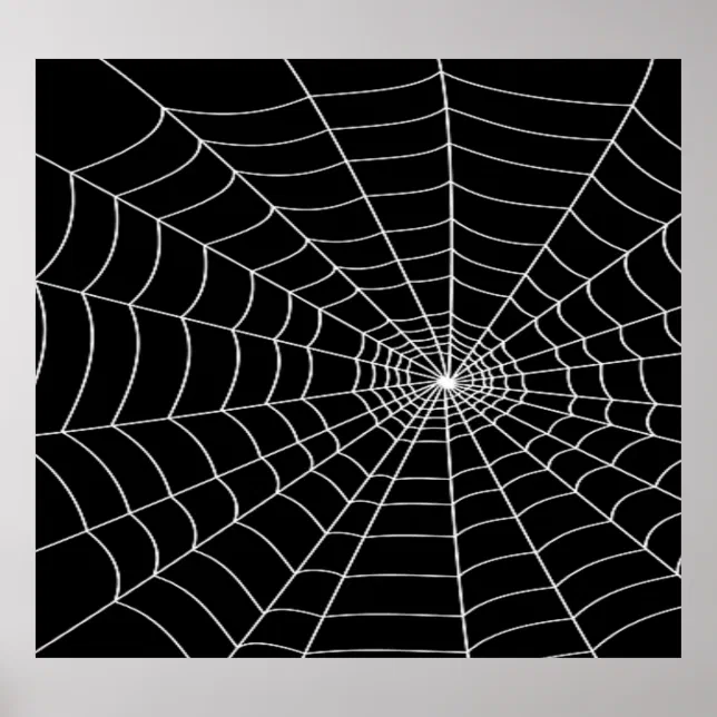 Spider Web Poster | Zazzle