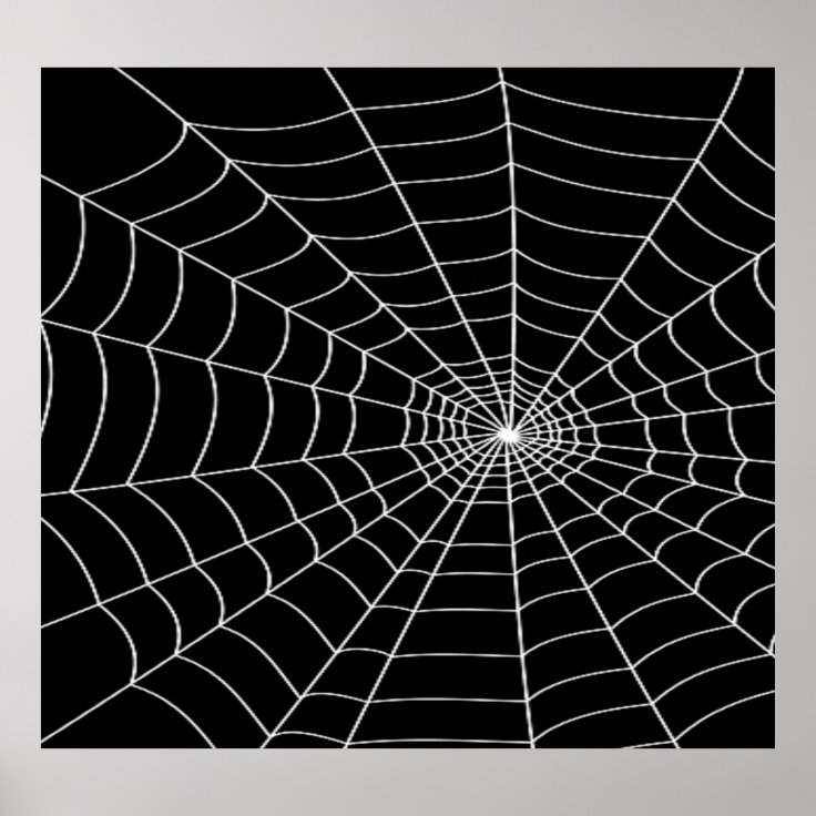 Spider Web Poster | Zazzle
