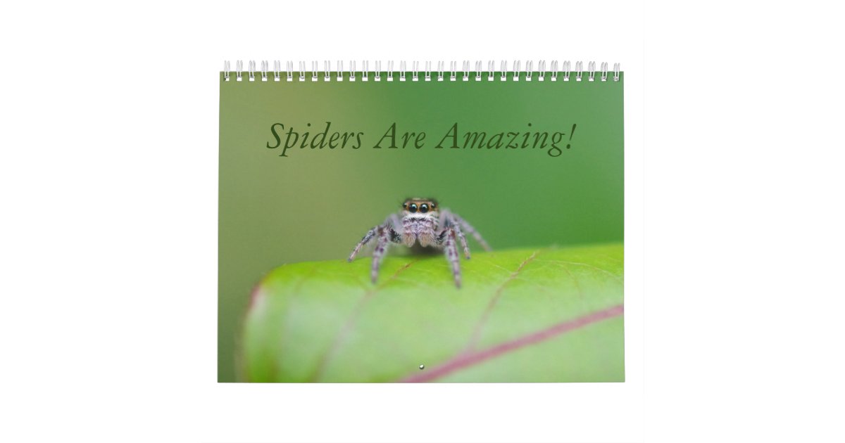 Spiders Are Amazing! Calendar | Zazzle