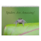 Spiders! Calendar | Zazzle.com