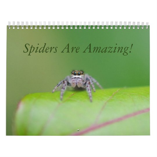 Spiders Are Amazing! Calendar | Zazzle.com