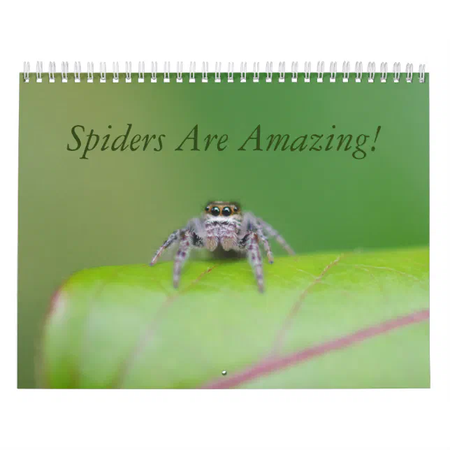 Spiders Are Amazing! Calendar | Zazzle