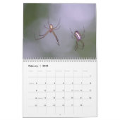 Spiders! Calendar | Zazzle