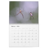 Spiders! Calendar | Zazzle