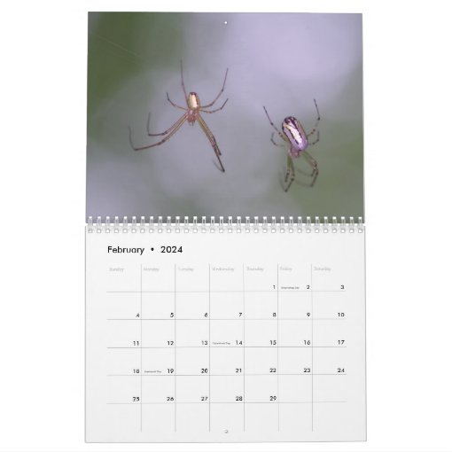 Spiders! Calendar | Zazzle