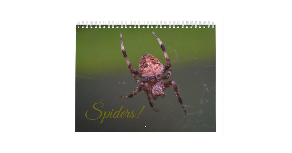 Spiders! Calendar | Zazzle