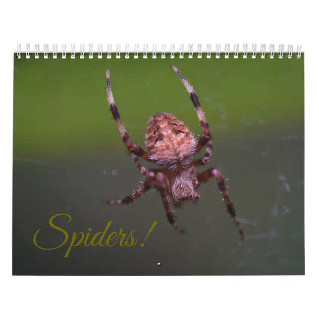 Spiders! Calendar | Zazzle
