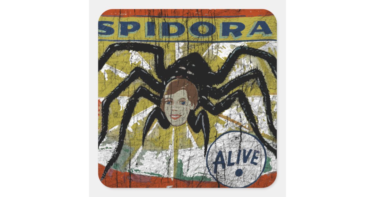 Spidora Square Sticker | Zazzle
