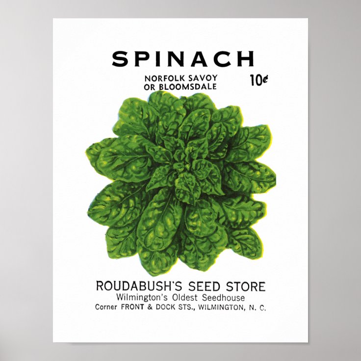 Spinach Seed Packet Label Poster | Zazzle