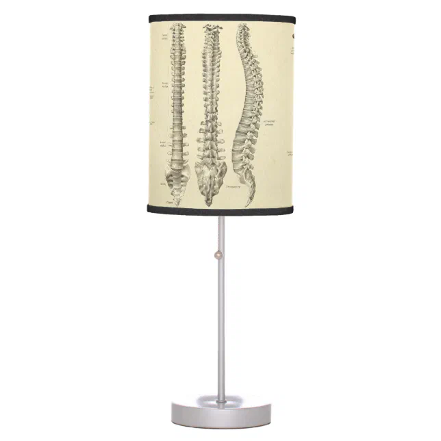 Spinal Column and Vertebrae Anatomy Table Lamp | Zazzle