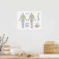 Spinal Dermatomes Poster Chiropractic | Zazzle