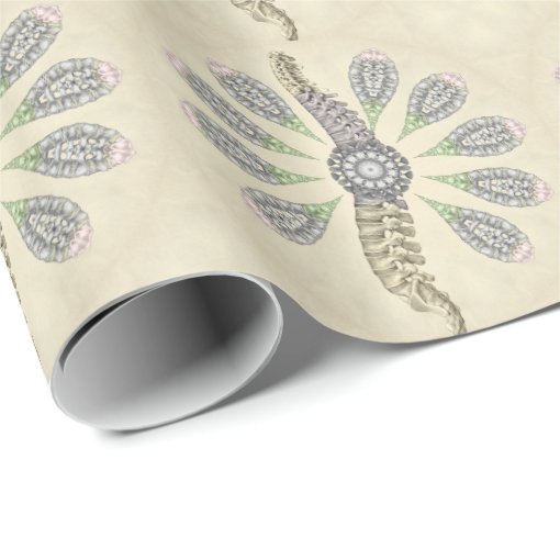 Spine Anatomy Art Chiropractic Wrapping Paper | Zazzle