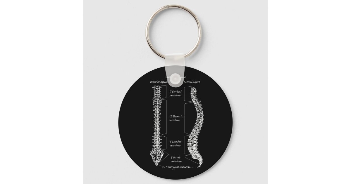 Spine Details Keychain | Zazzle