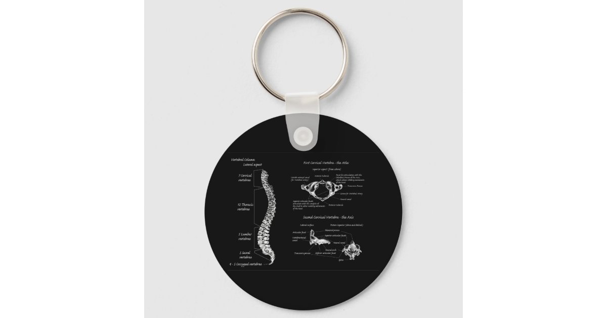 Spine Details Keychain | Zazzle