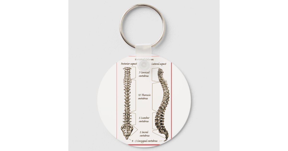 Spine Details Sepia2 Keychain | Zazzle