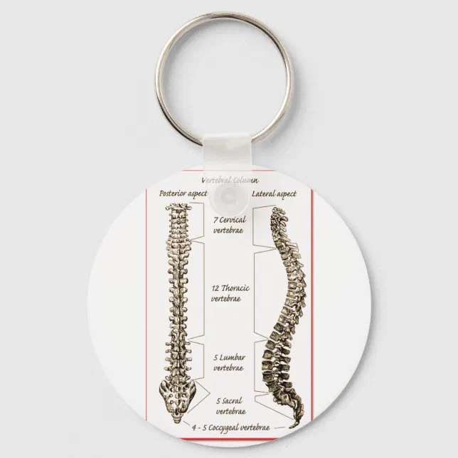 Spine Details Sepia2 Keychain | Zazzle