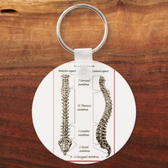 Spine Details Sepia2 Keychain | Zazzle