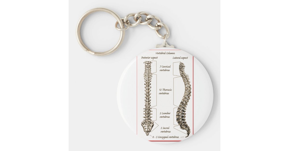 Spine Details Sepia2 Keychain | Zazzle.com