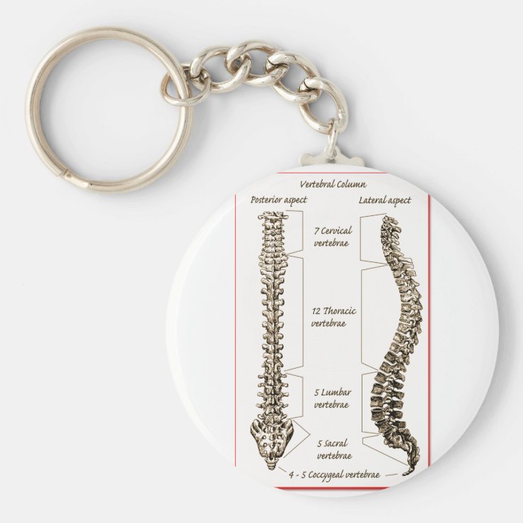 Spine Details Sepia2 Keychain | Zazzle
