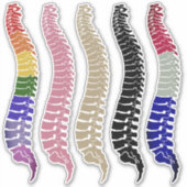 Spine laptop decals, spine stickers, chiropractic sticker | Zazzle