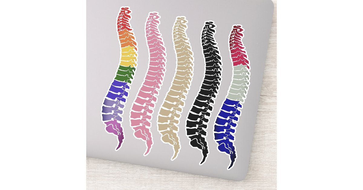Spine laptop decals, spine stickers, chiropractic sticker | Zazzle