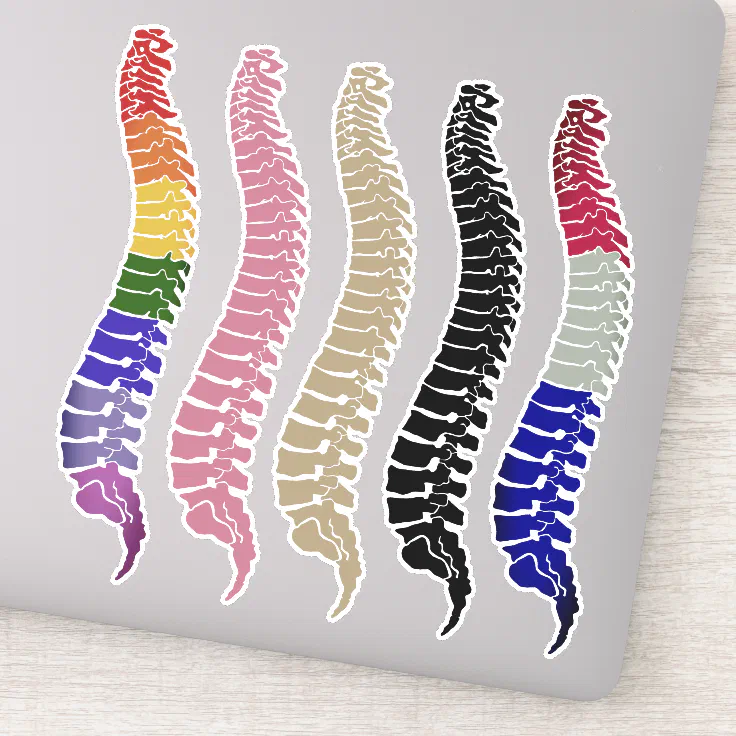 Spine laptop decals, spine stickers, chiropractic sticker | Zazzle