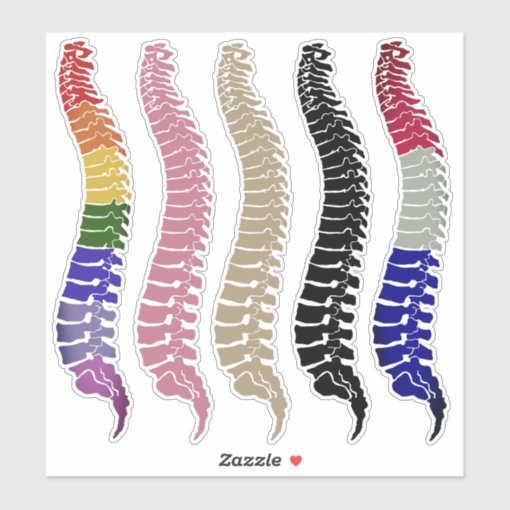 Spine laptop decals, spine stickers, chiropractic sticker | Zazzle