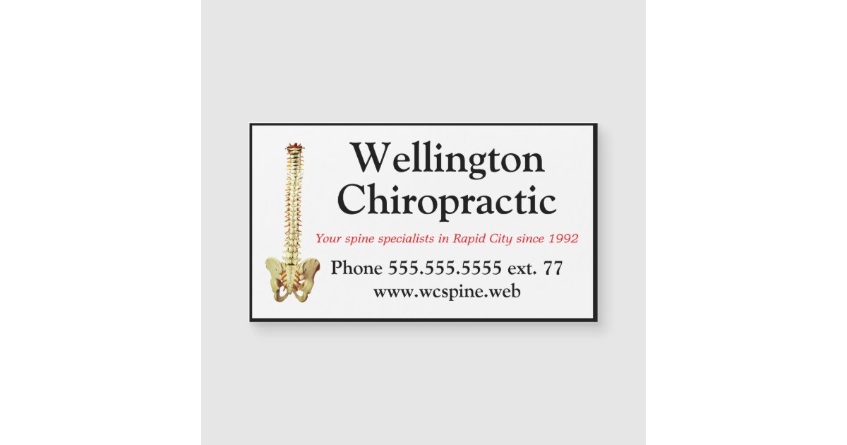 Spine on White Chiropractic Business Card | Zazzle