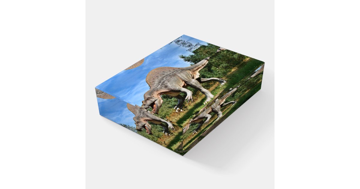 Spinosaurus Dinosaur Paperweight | Zazzle