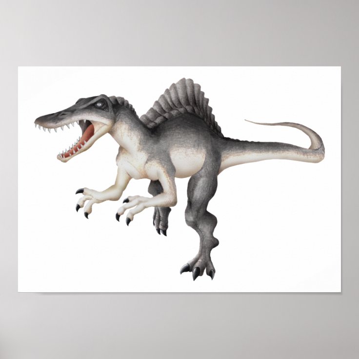 Spinosaurus Poster | Zazzle