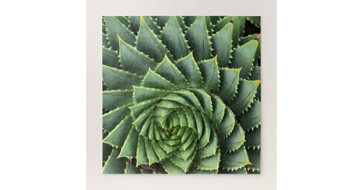Spiral Aloe Fibonacci Jigsaw Puzzle | Zazzle