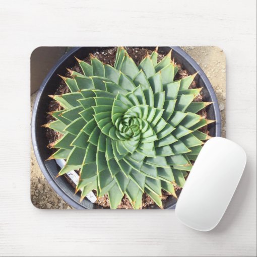 Spiral Aloe Mousepad | Zazzle