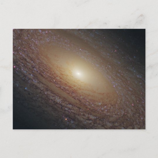 Spiral Galaxy NGC 2841 Postcard | Zazzle.com