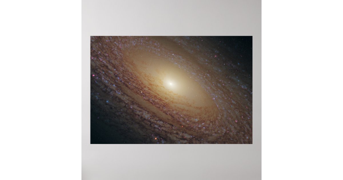 Spiral Galaxy Ngc 2841 Poster | Zazzle