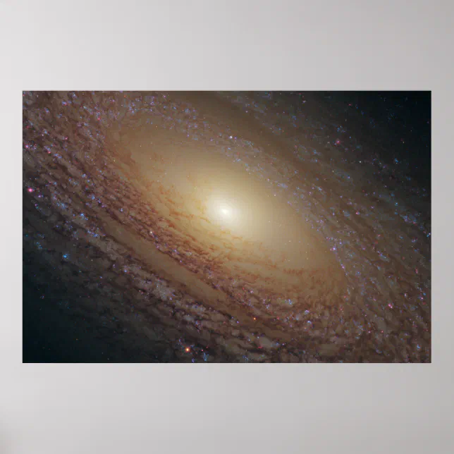 Spiral Galaxy Ngc 2841 Poster | Zazzle
