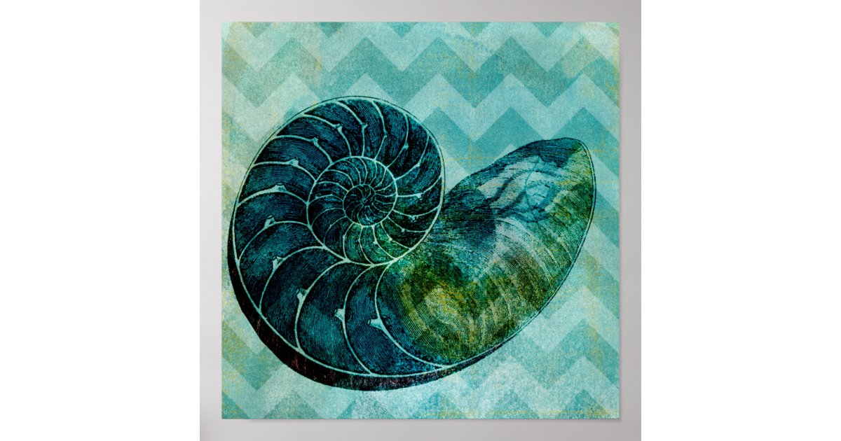 Spiral Turquoise Conch Shell Poster | Zazzle