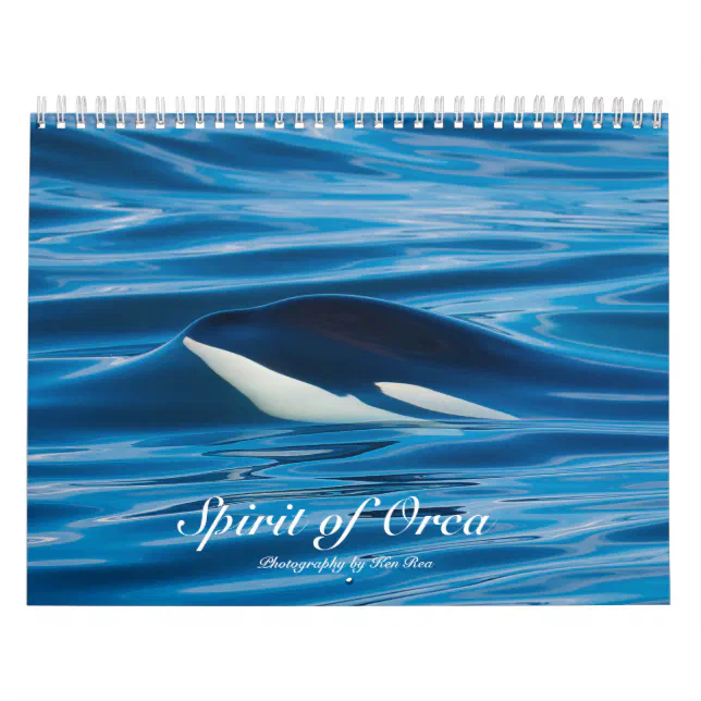 Spirit of Orca Killer Whales Calendar | Zazzle