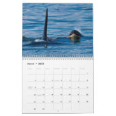 Spirit of Orca Killer Whales Calendar | Zazzle