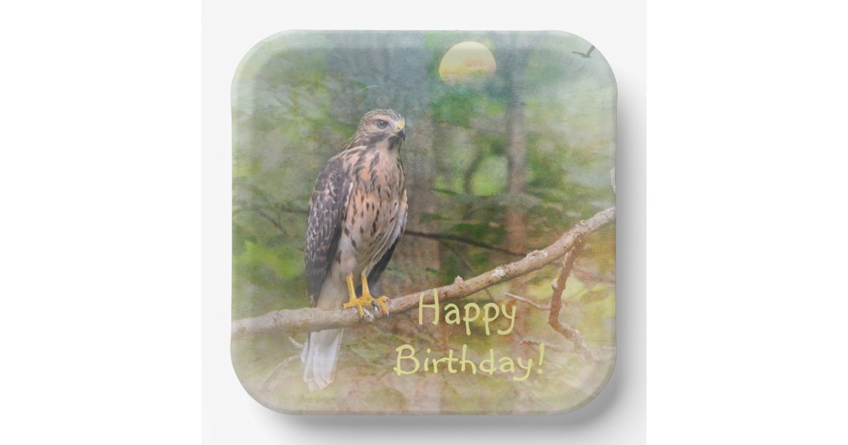 Spirit Of The Hawk Birthday Paper Plates | Zazzle